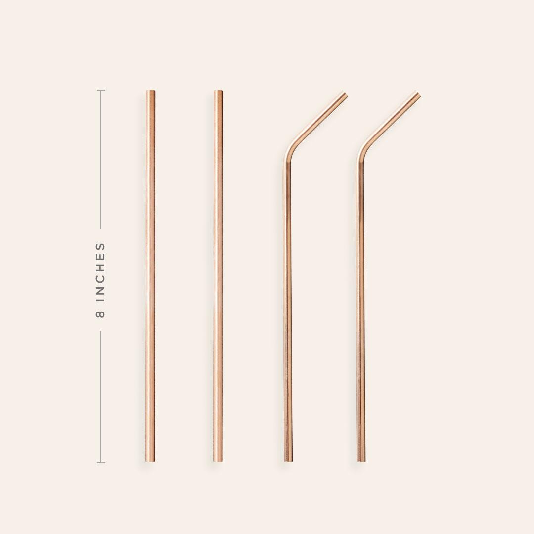 Pack of 04 Large Straws - 02 Straight and 02 Angled